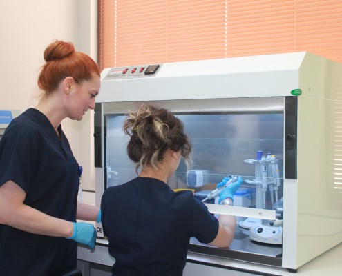 Turn-key Laboratories – Genomed Biotech